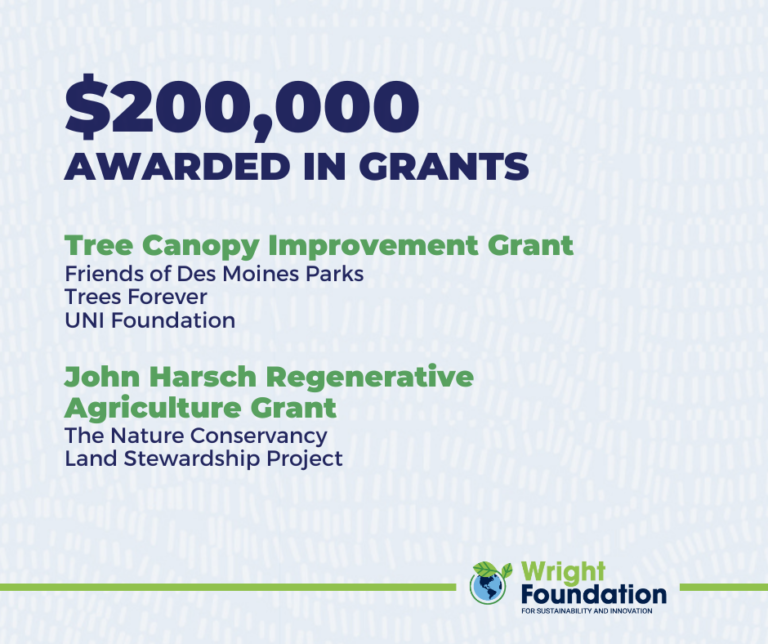 WFSI Awards $200,000 in Grants for Tree Canopy Improvement and ...
